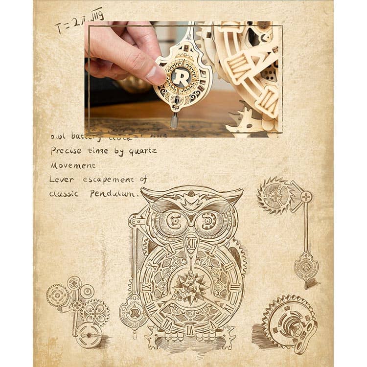 Wooden Owl Clock Kit — Plywood Build, Working Clock & Timer (Beige / L ...
